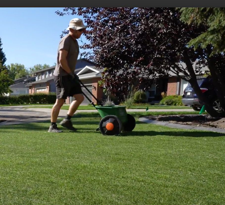 Contact - Fresh Turf | Artificial Grass Cleaning Services & Maintenance